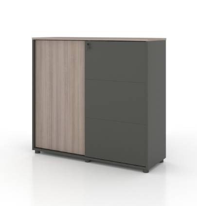 Universal 3-Level Sliding Door Cabinet (Meteor Grey Body)